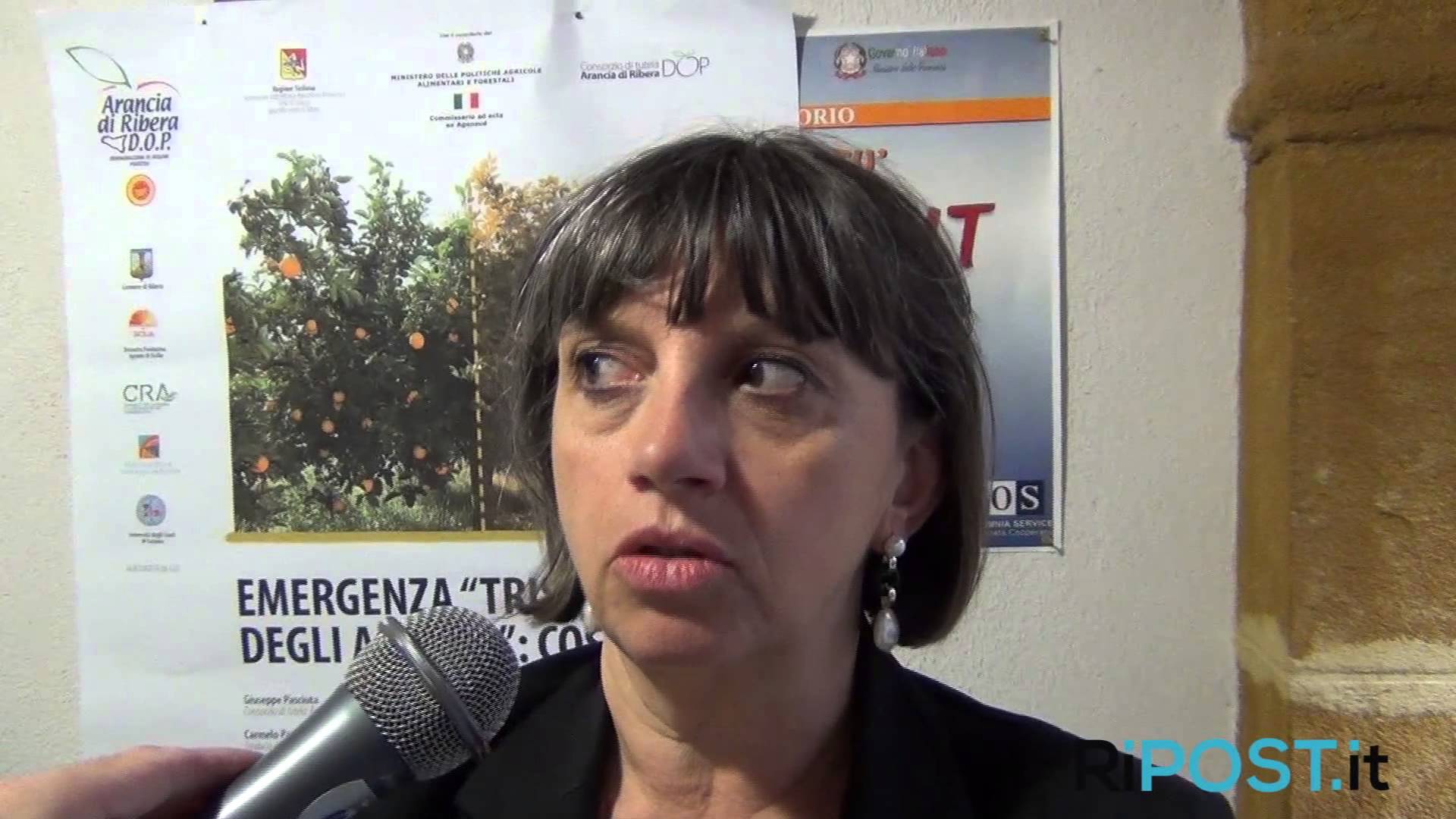 Cronache dalle colonie extramondo: da 'Rosa' Barresi a Cracolici ...