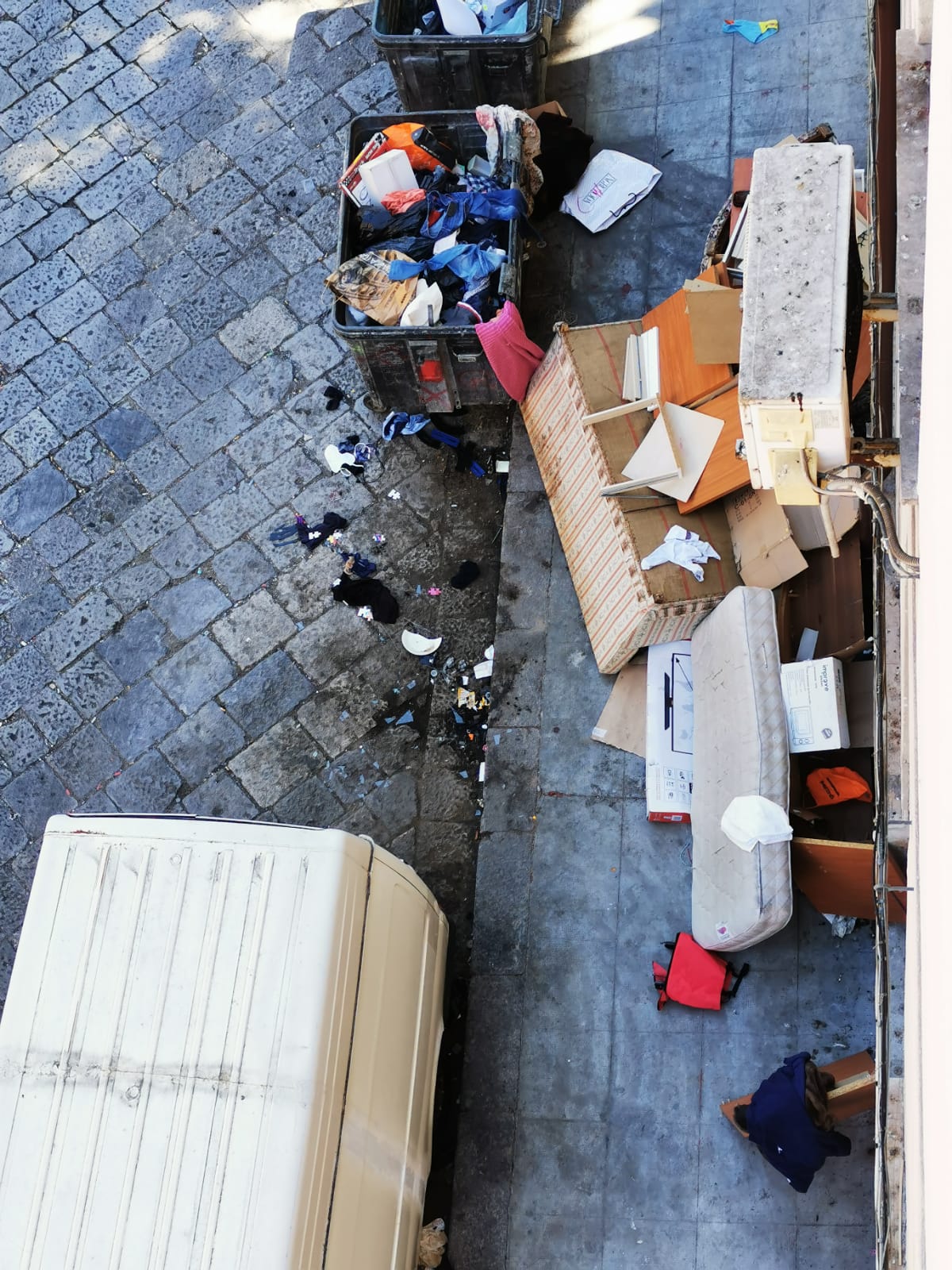Palermo, l'uscita del Museo Gemellaro è sempre una discarica a cielo ...