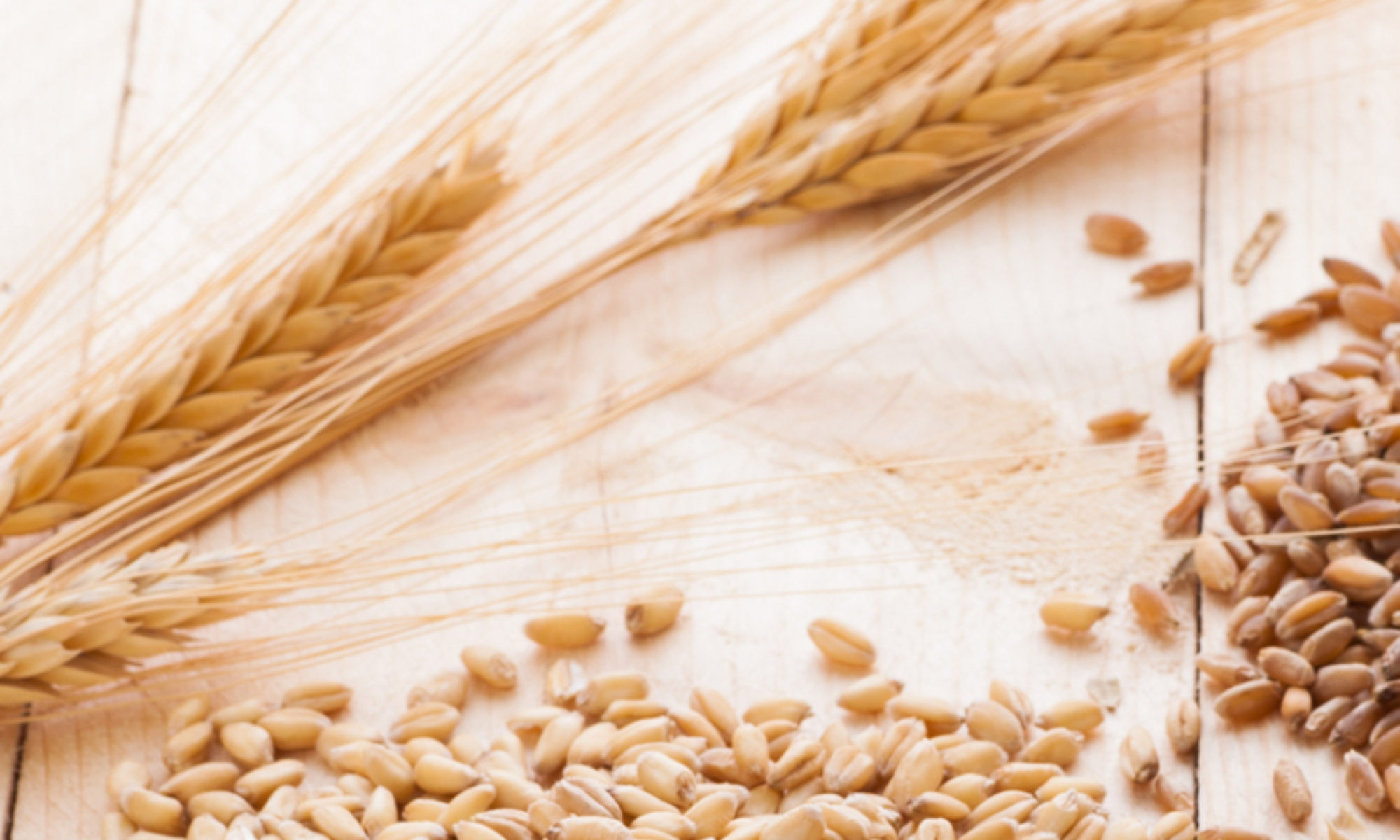 Grano tenero targato SIS-Valle del Dittaino? Agricoltori del gruppo ...