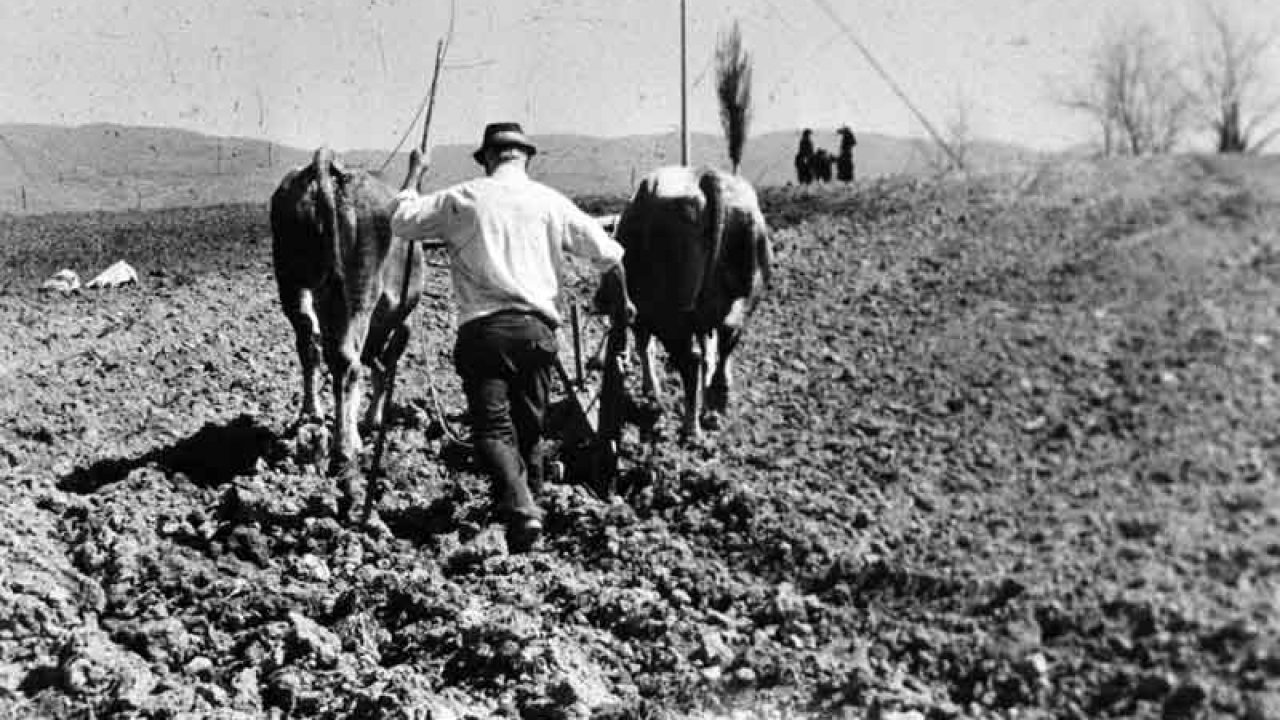 La vecchia Mafia: la storia di Don Lollò, l'uomo che entrò nella bara ...